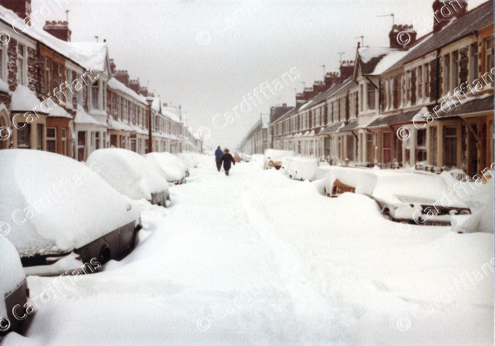 Cathays and Maindy Image Gallery - Cardiffians.co.uk