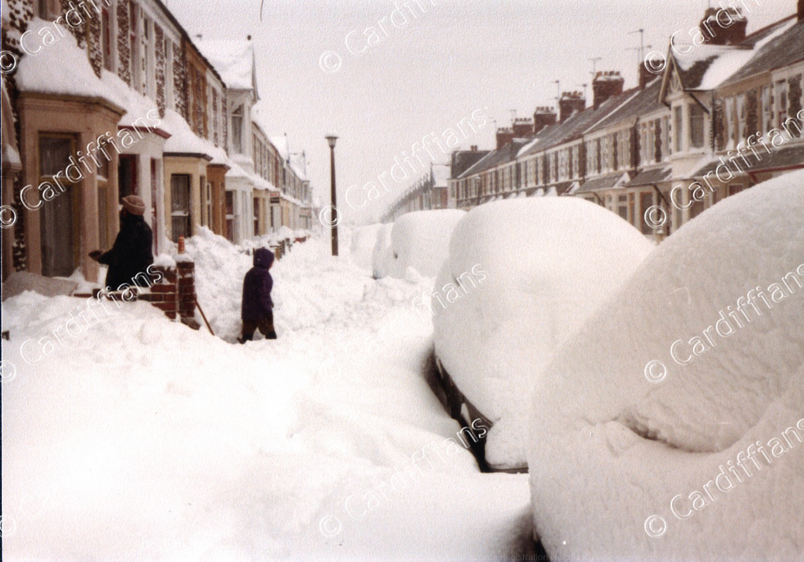 Cathays and Maindy Image Gallery - Cardiffians.co.uk
